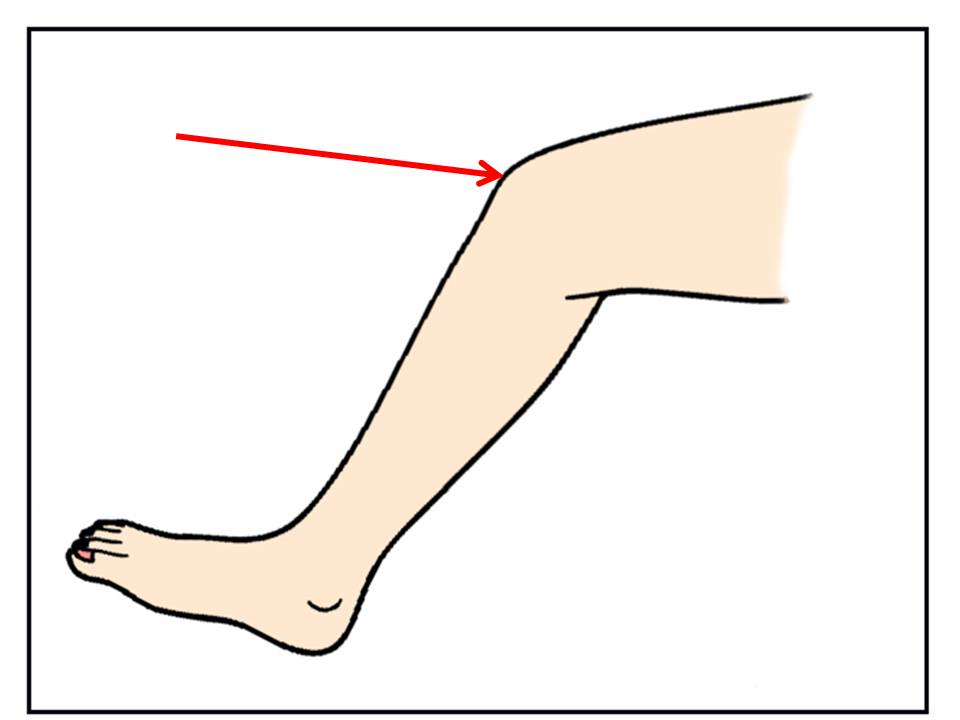 Quia 2nd Grade Spanish Body Parts quia-2nd-grade-spanish-body-parts